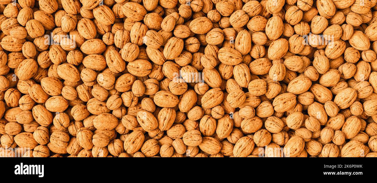 fresh Walnuts as a background, banner size Stock Photo - Alamy