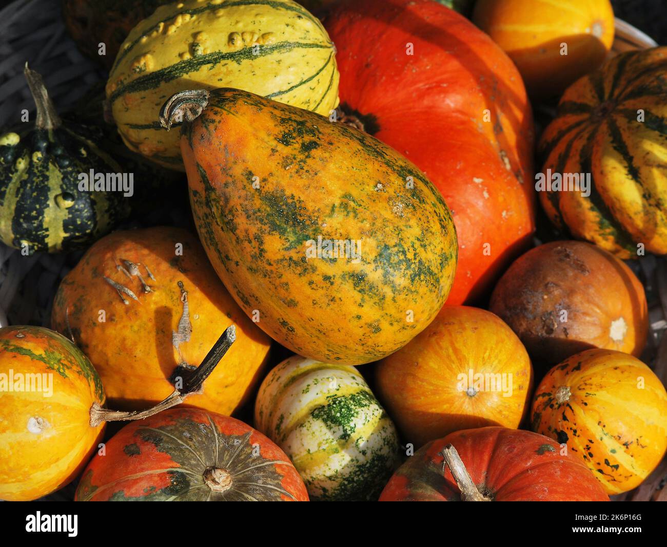 Noddles vegetables etc Stock Photo - Alamy