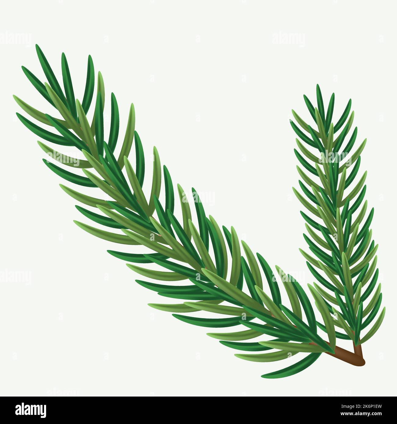 Green spruce branch in a beautiful style on a white background. white ...