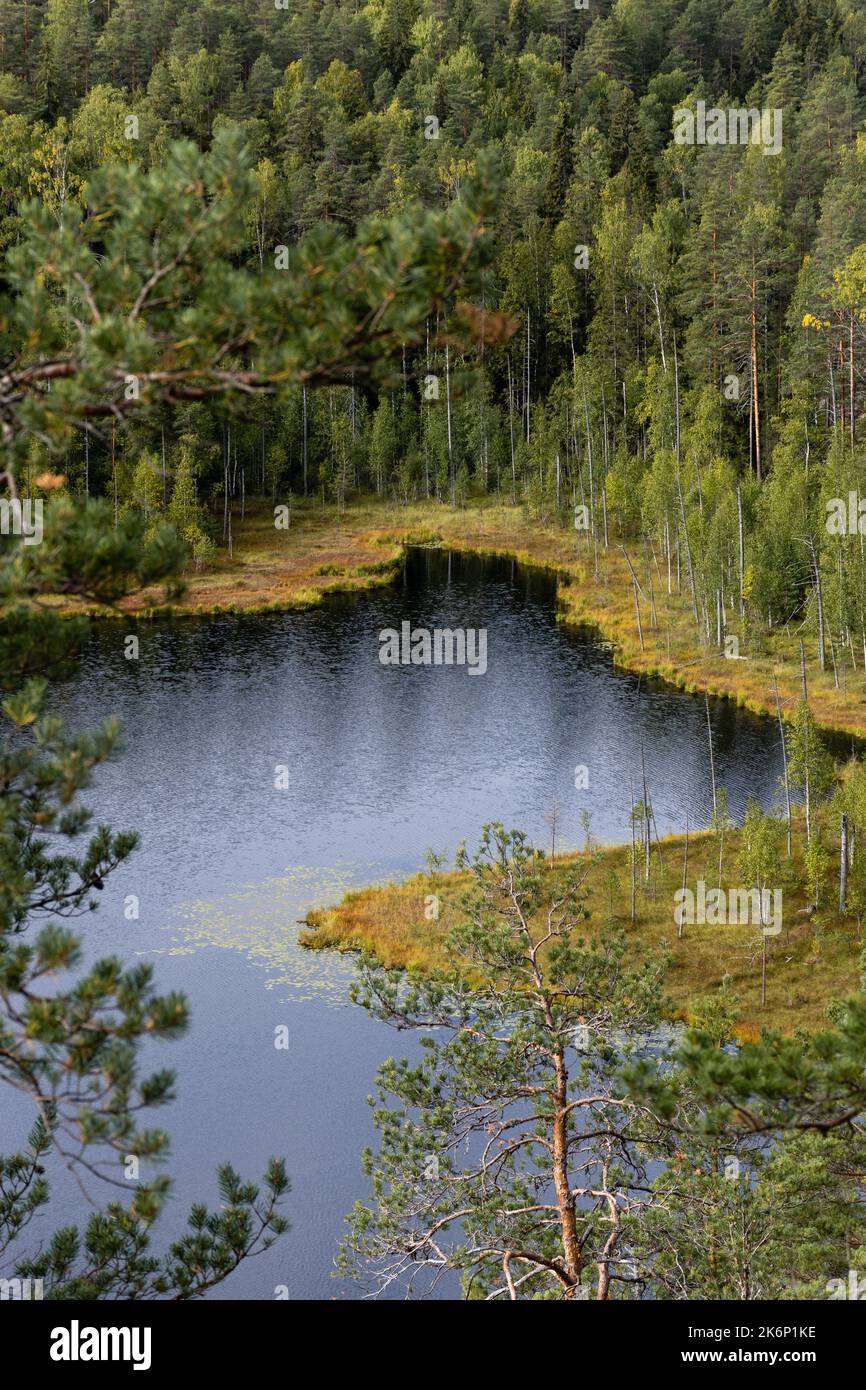Zoomed in view of a Finnish lake and forest landscape in Repovesi ...