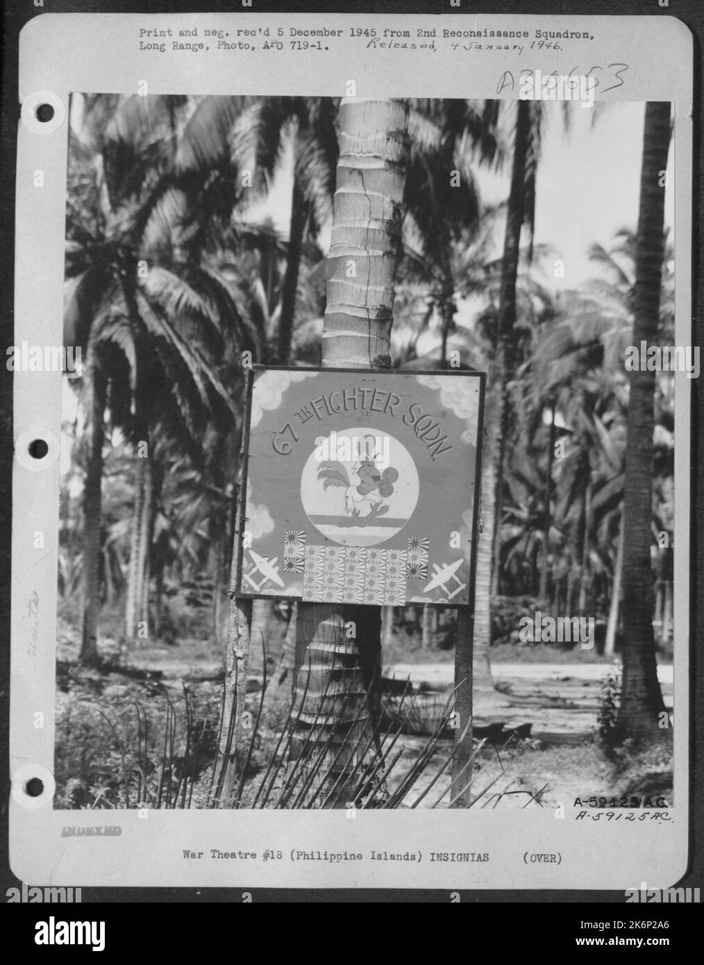 The 67th Fighter Squadron insignia on tree outside camp area at Palawan ...