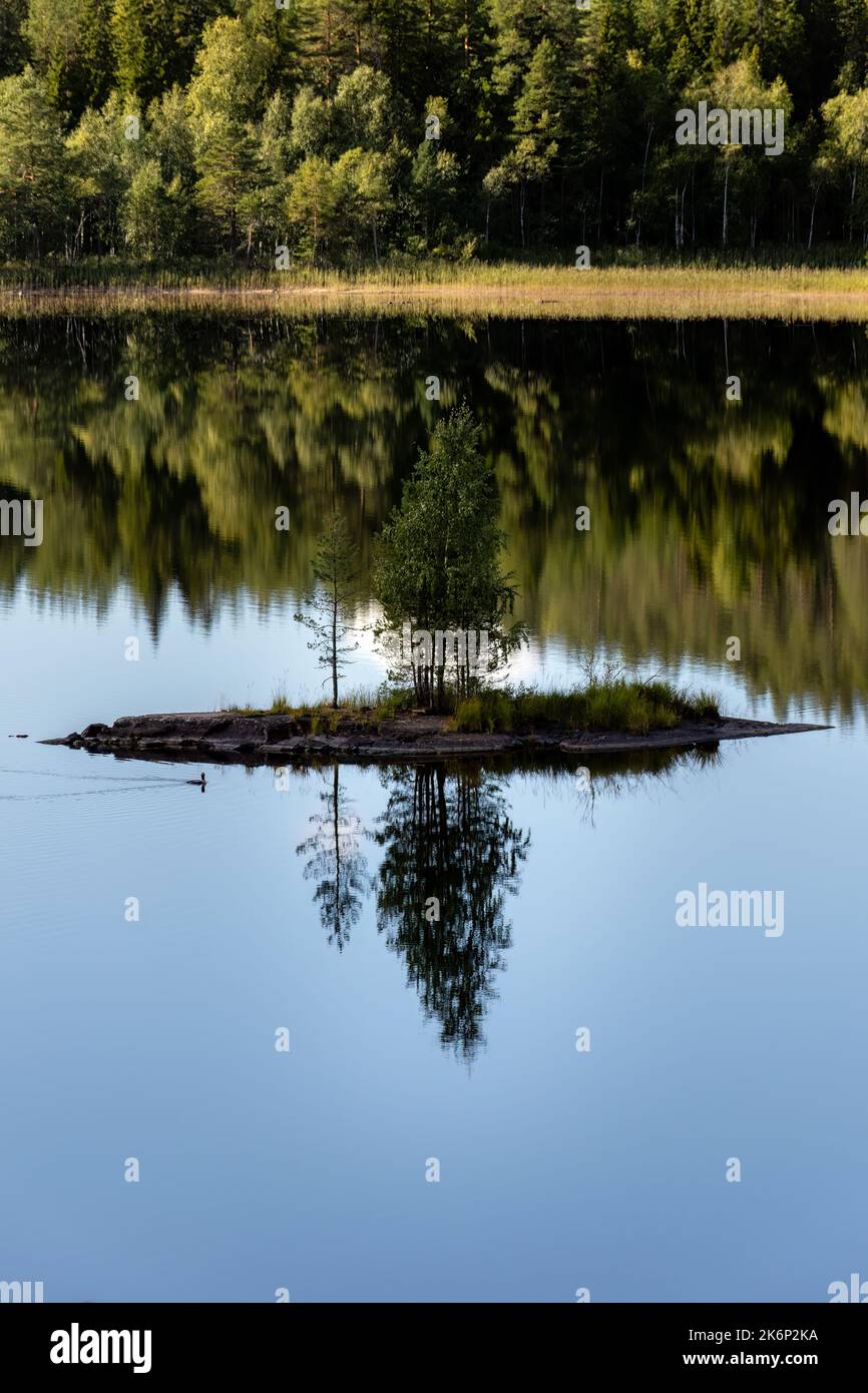 Small island on a Finnish lake with a beautiful reflection from water ...