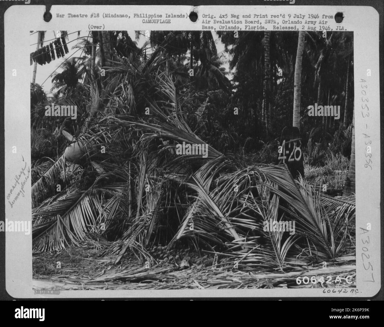 A camouflaged dummy airplane on Padgada Airstrip, Mindanao in the ...