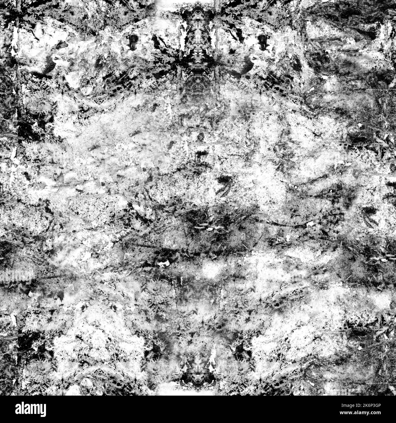 Succulents sketch Black and White Stock Photos & Images - Alamy