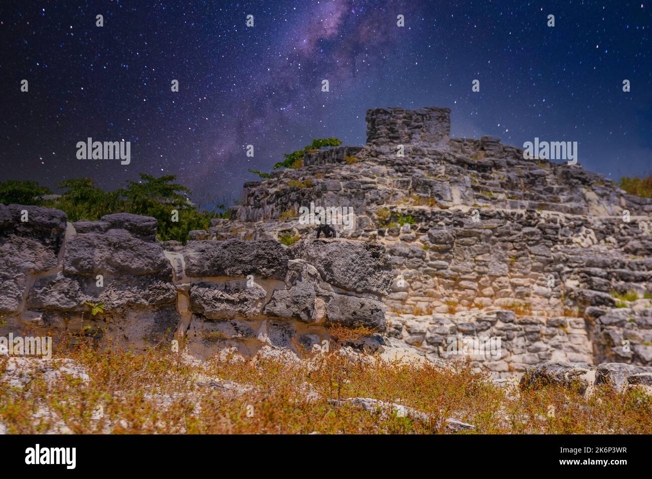 Iguana lizard in ancient ruins of Maya in El Rey Archaeological Zone ...