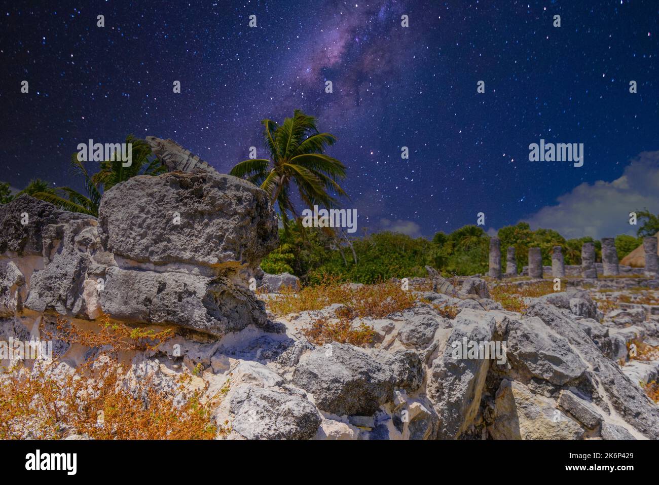 Iguana lizard in ancient ruins of Maya in El Rey Archaeological Zone ...
