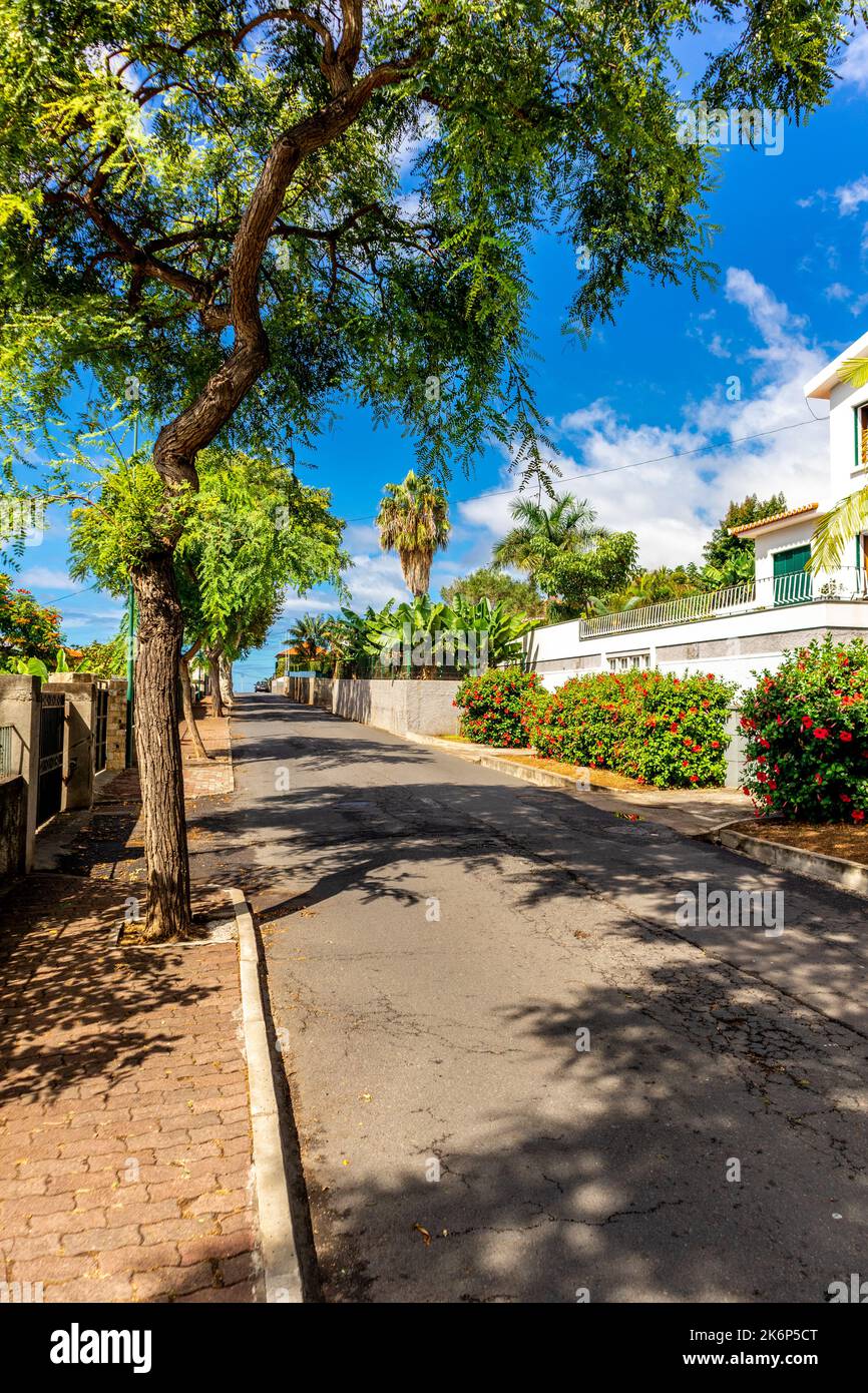 On the way on the city levadas of Funchal with a fantastic view on the ...