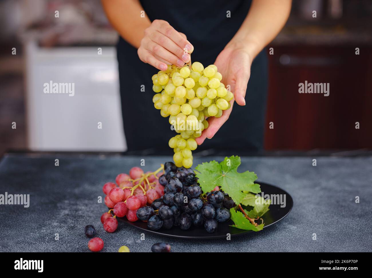 Vineyard Harvest in autumn season. Crop and juice, Organic blue, red ...