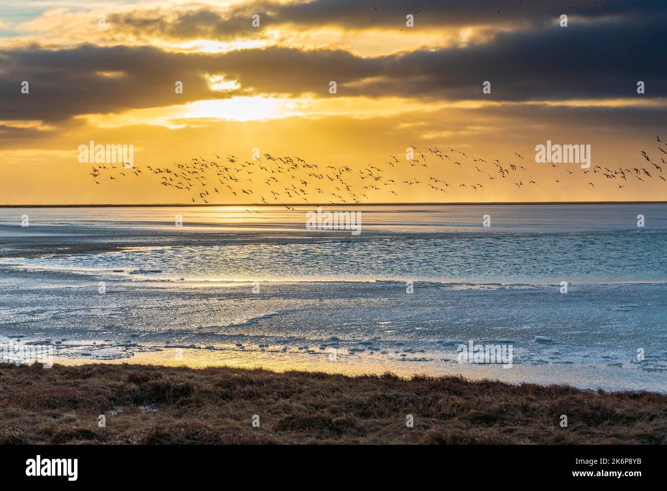 Winter Icelandic Road Trip beatween Seljalandsfoss and Skogafoss ...
