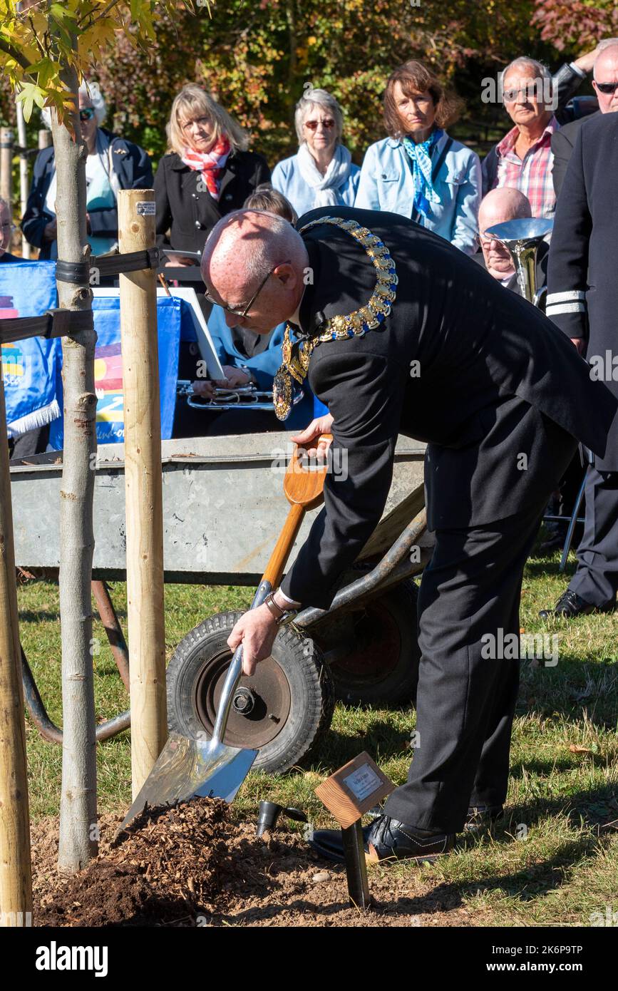 Murder tree hi-res stock photography and images - Alamy