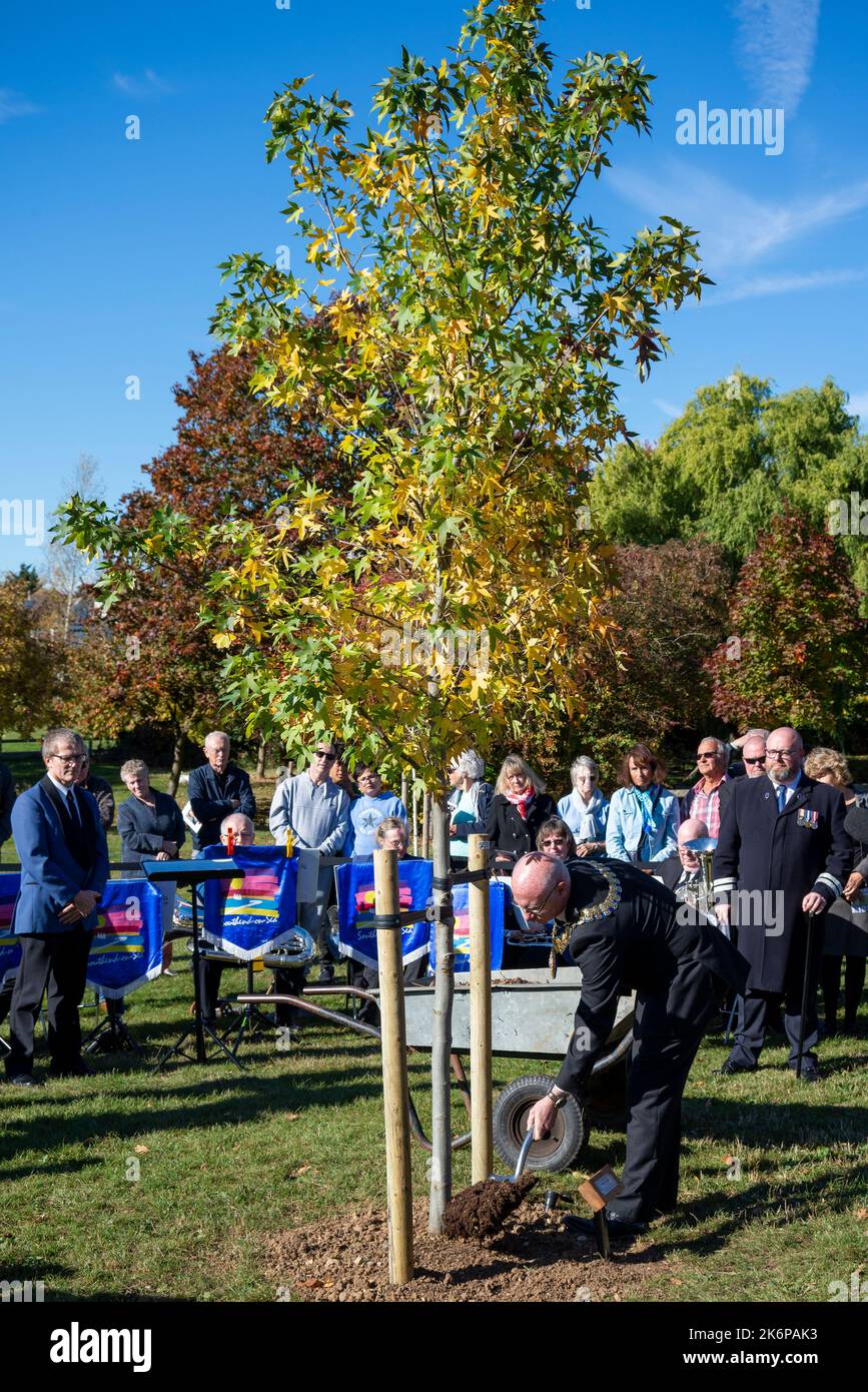 Murder tree hi-res stock photography and images - Alamy