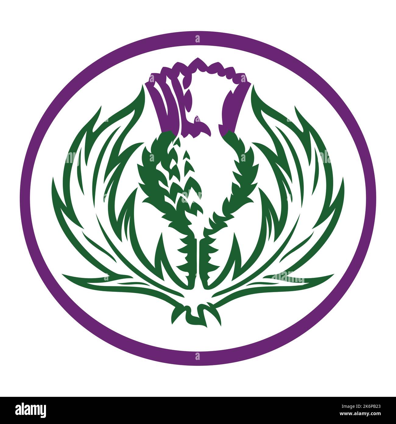 Old Scottish design. Thistle flower in Celtic ethnic style, isolated on ...