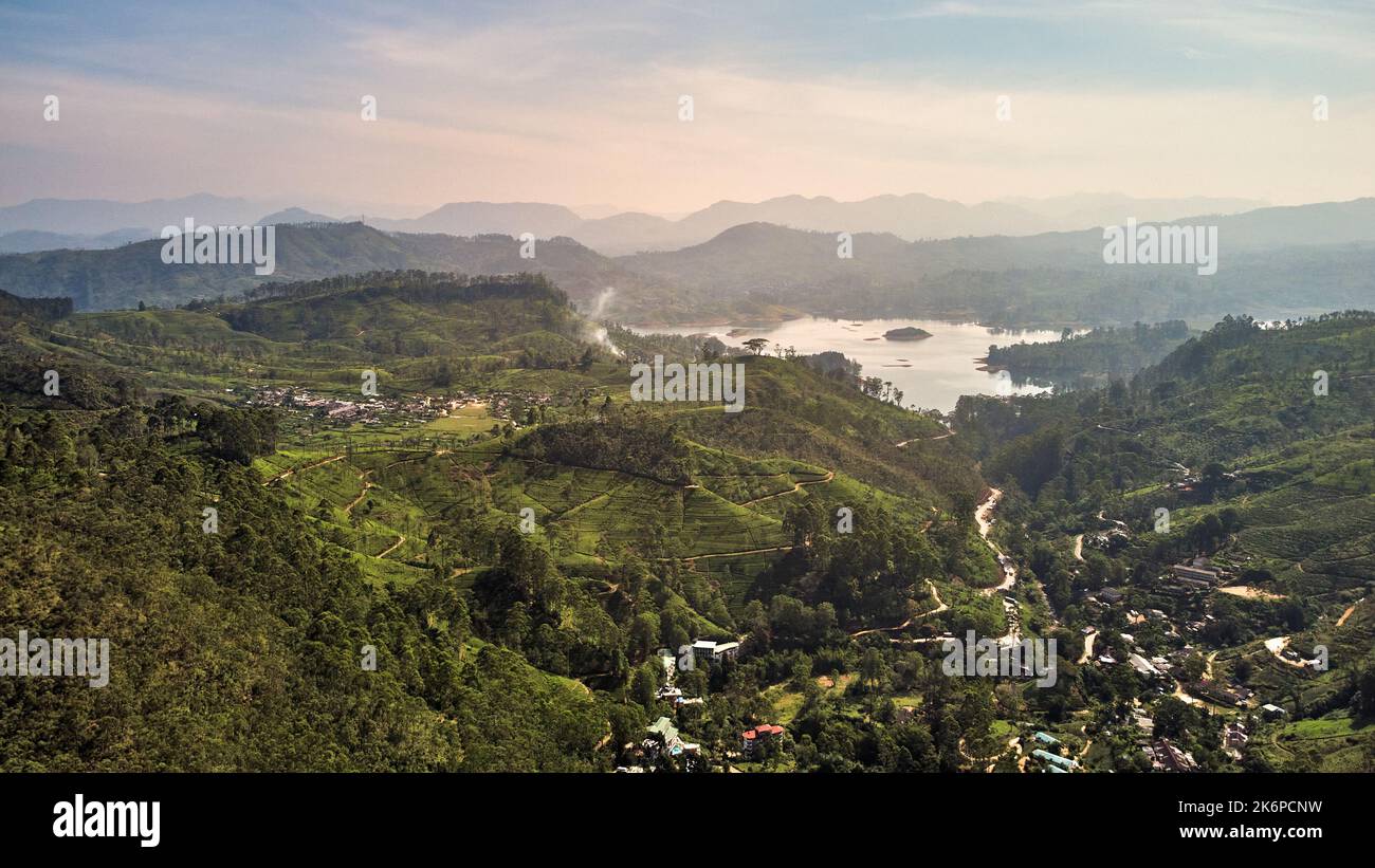 Aerial view of tea plantations in Sri Lanka. View from Adam's Peak to ...