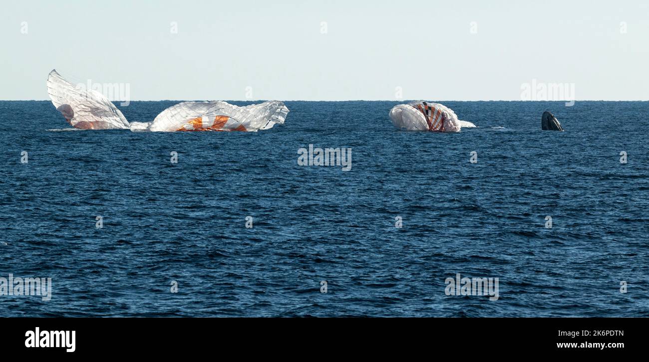 The SpaceX Crew Dragon Freedom spacecraft is seen as it lands with NASA ...