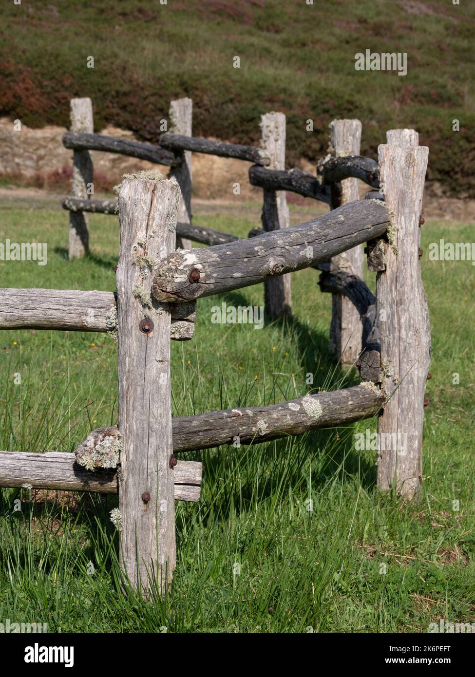Old fence made out of wood and lush green meadow and bushes in the ...