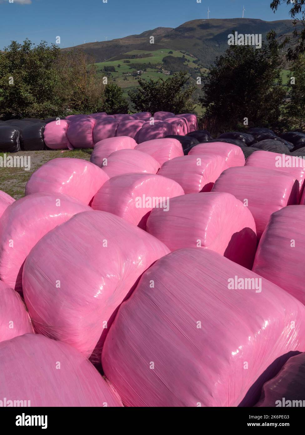 Black plastic bale wrap hi-res stock photography and images - Alamy