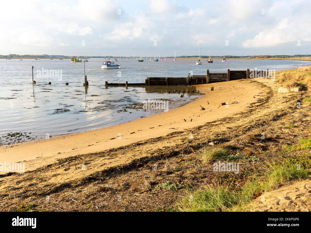 Sandy beach and shoreline of tidal River Deben, Bawdsey Quay, Suffolk ...