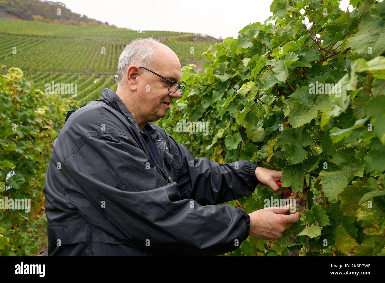 Senate wine hi-res stock photography and images - Alamy