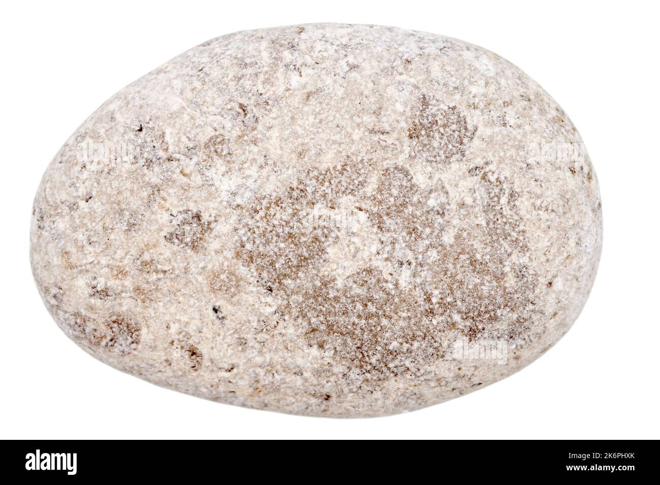 Top view of single gray pebble isolated on white background Stock Photo ...