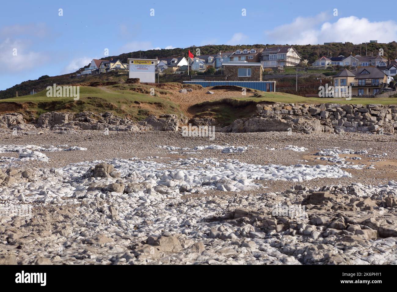 A group of fine people collecting all the litter on the beach after the ...