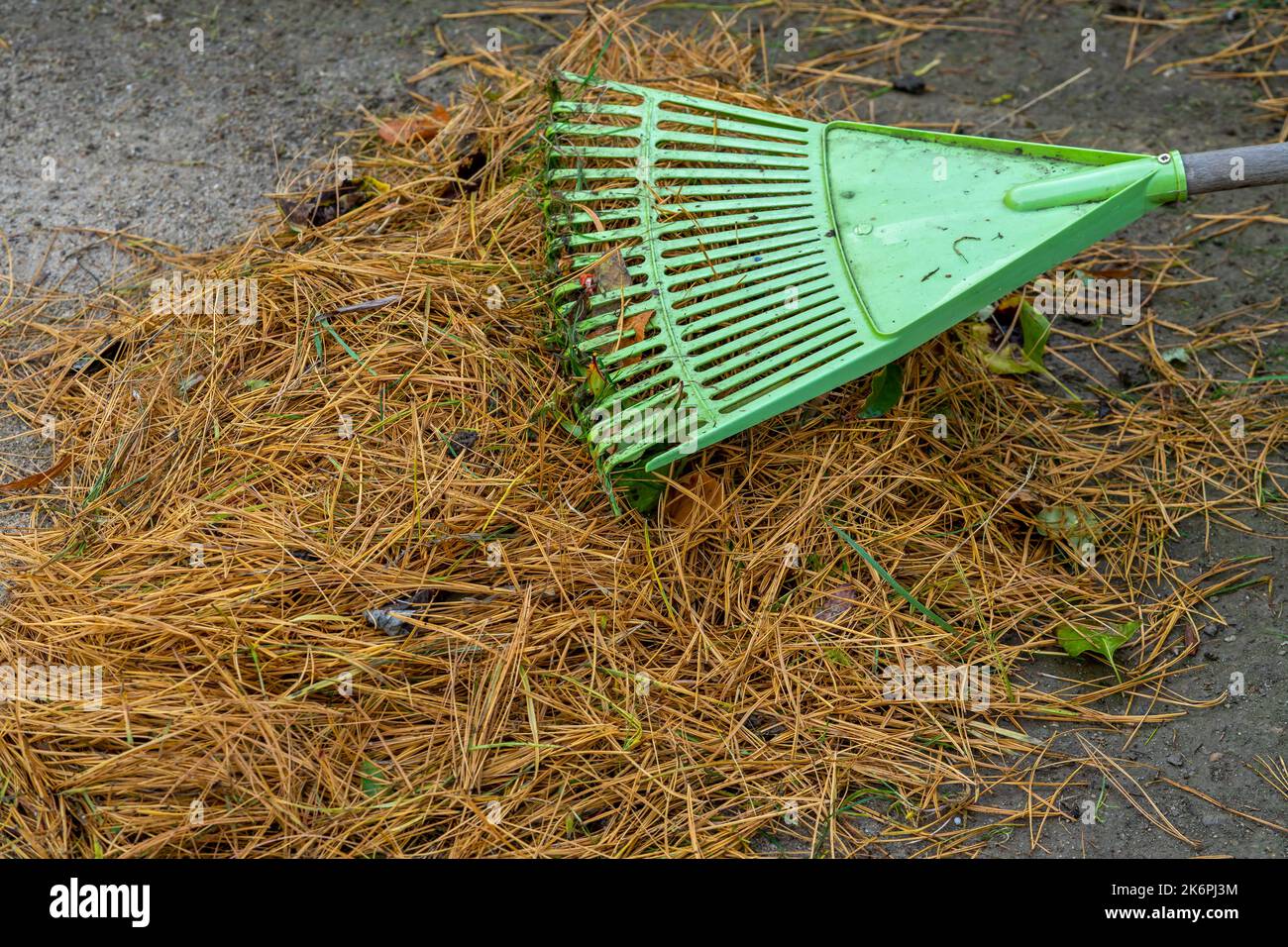 Rake rake teeth hi-res stock photography and images - Alamy