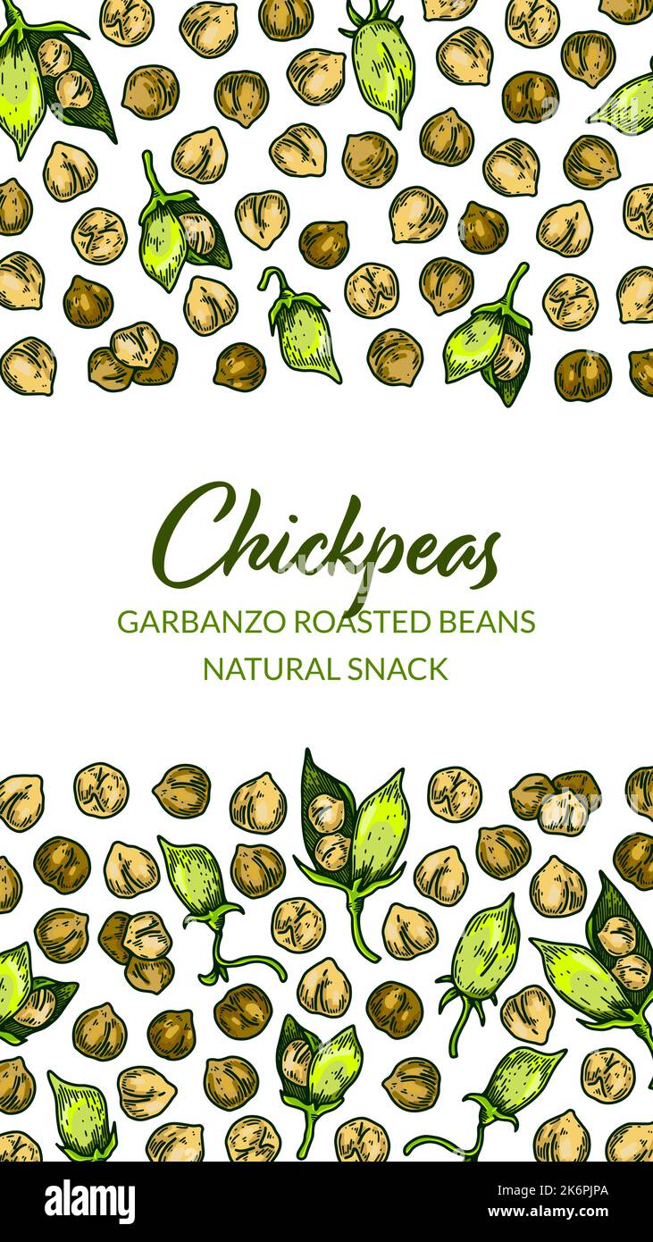 Colorful vertical chickpeas design. Hand drawn illustration in colored ...