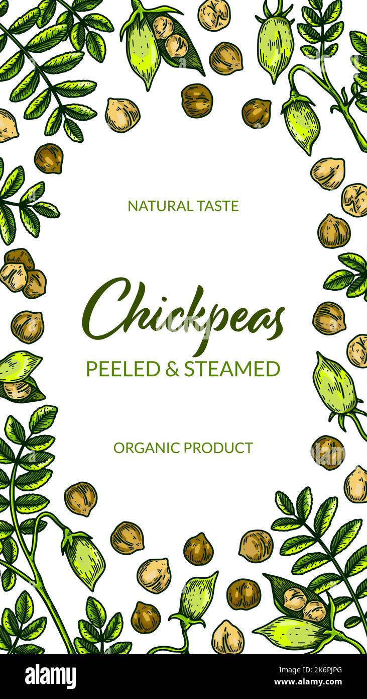 Colorful vertical chickpeas design. Hand drawn illustration in colored ...