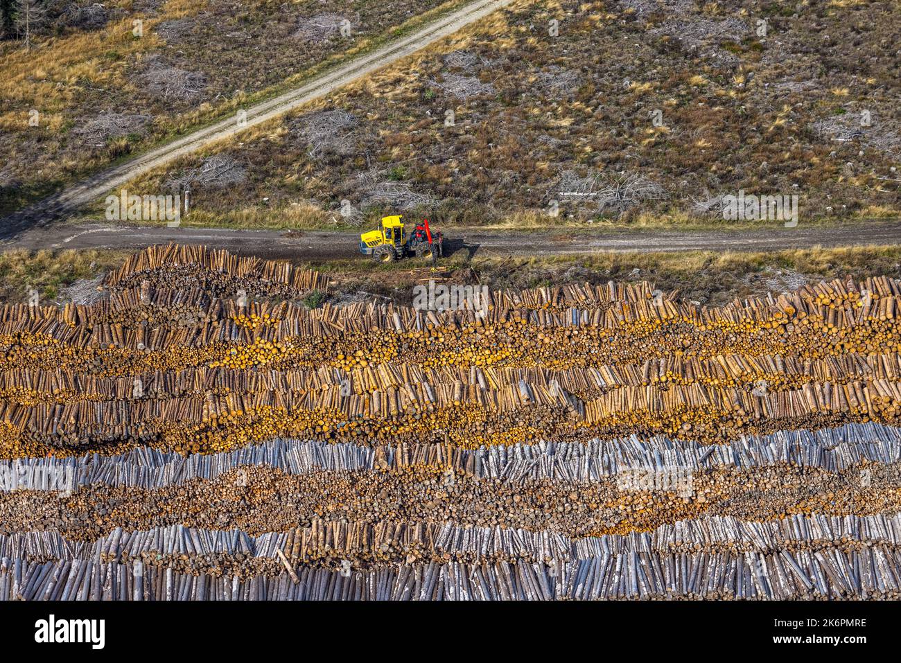 Aerial view, forest damage, forest dieback, wood piles, tree trunks ...