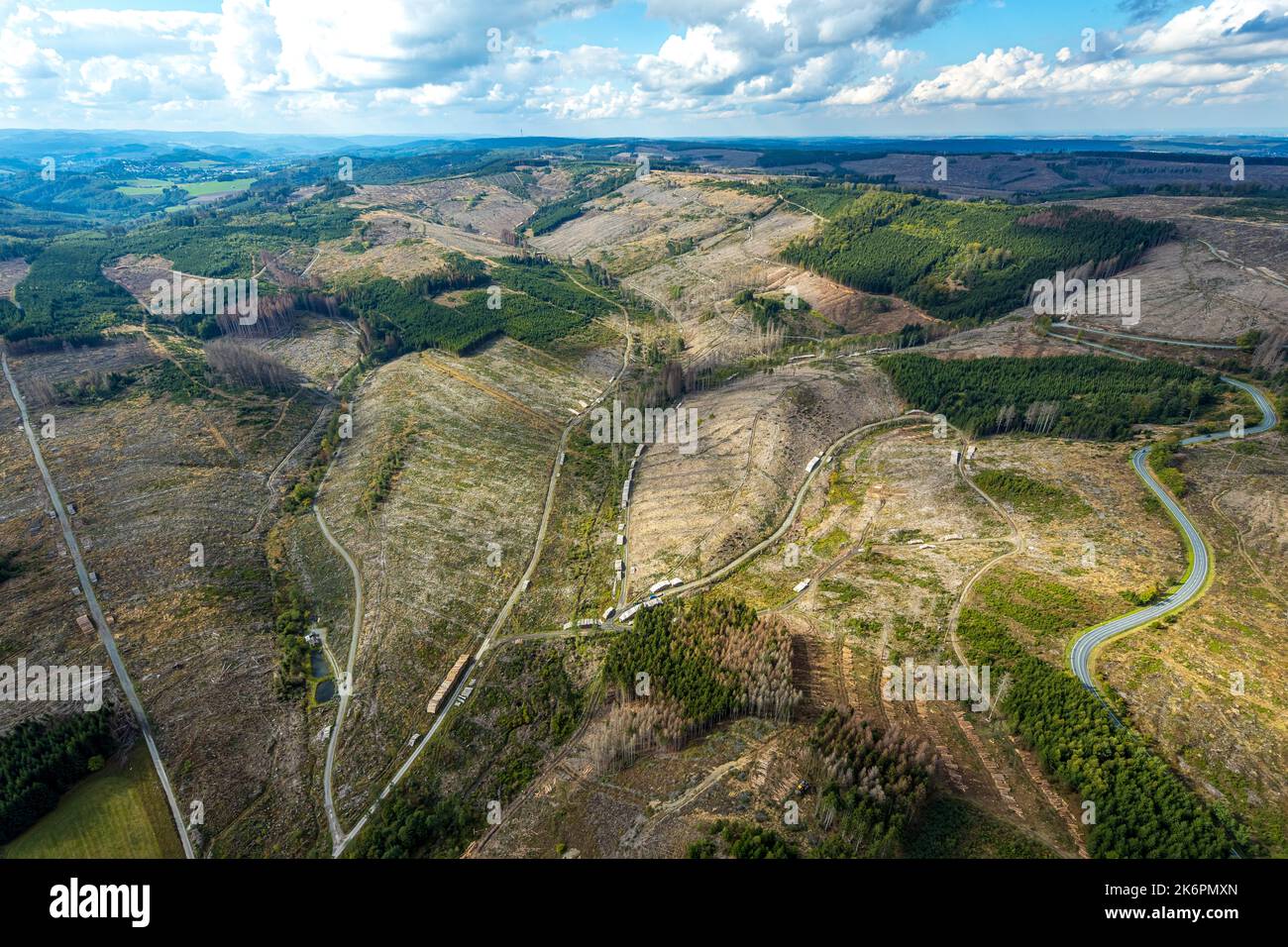 Aerial photo, forest damage, forest dieback, Nuttlar, Bestwig, Ruhr ...