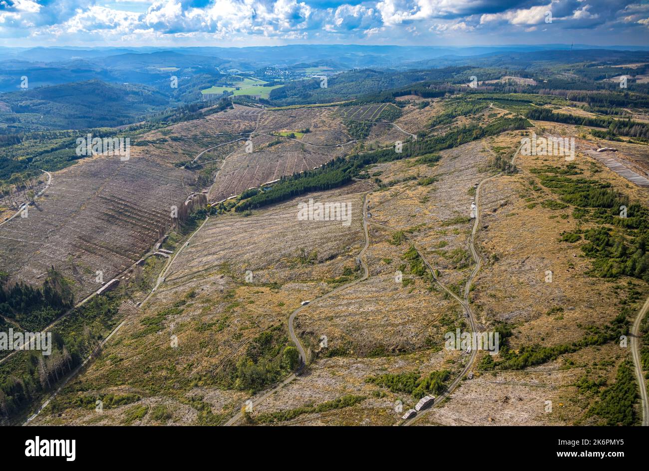 Aerial photo, forest damage, forest dieback, Nuttlar, Bestwig, Ruhr ...