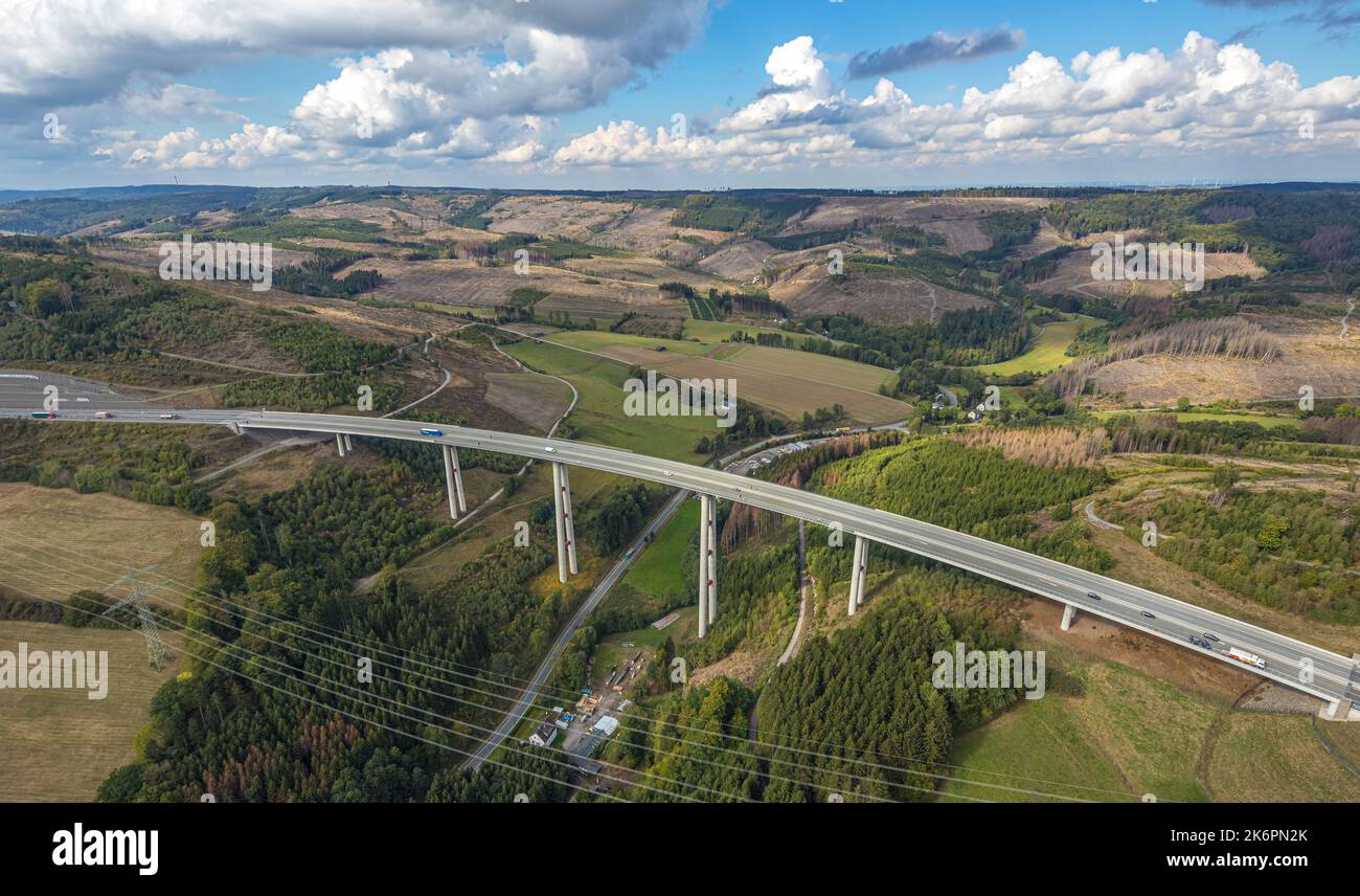 Aerial view, Nuttlar viaduct, A46 freeway, forest damage, Nuttlar ...