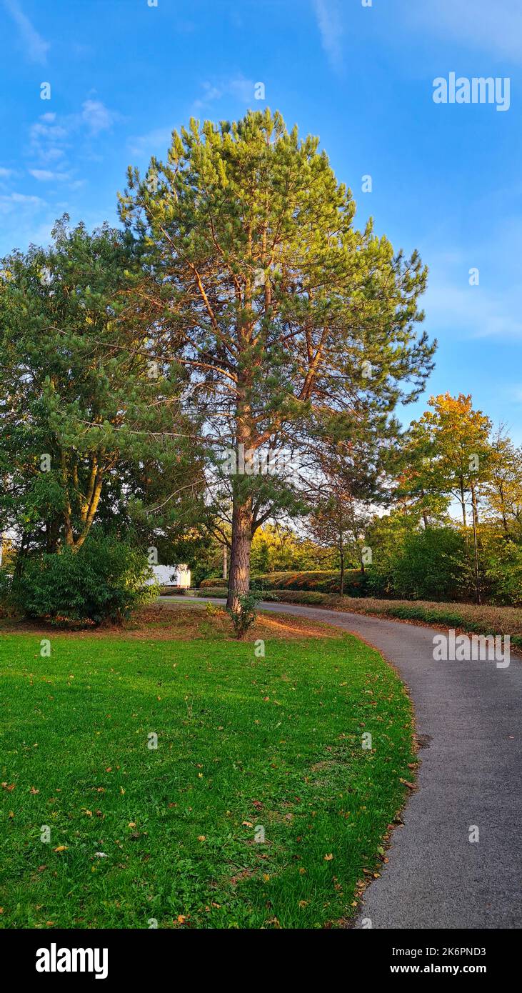 Beauty of nature landscape hi-res stock photography and images - Alamy