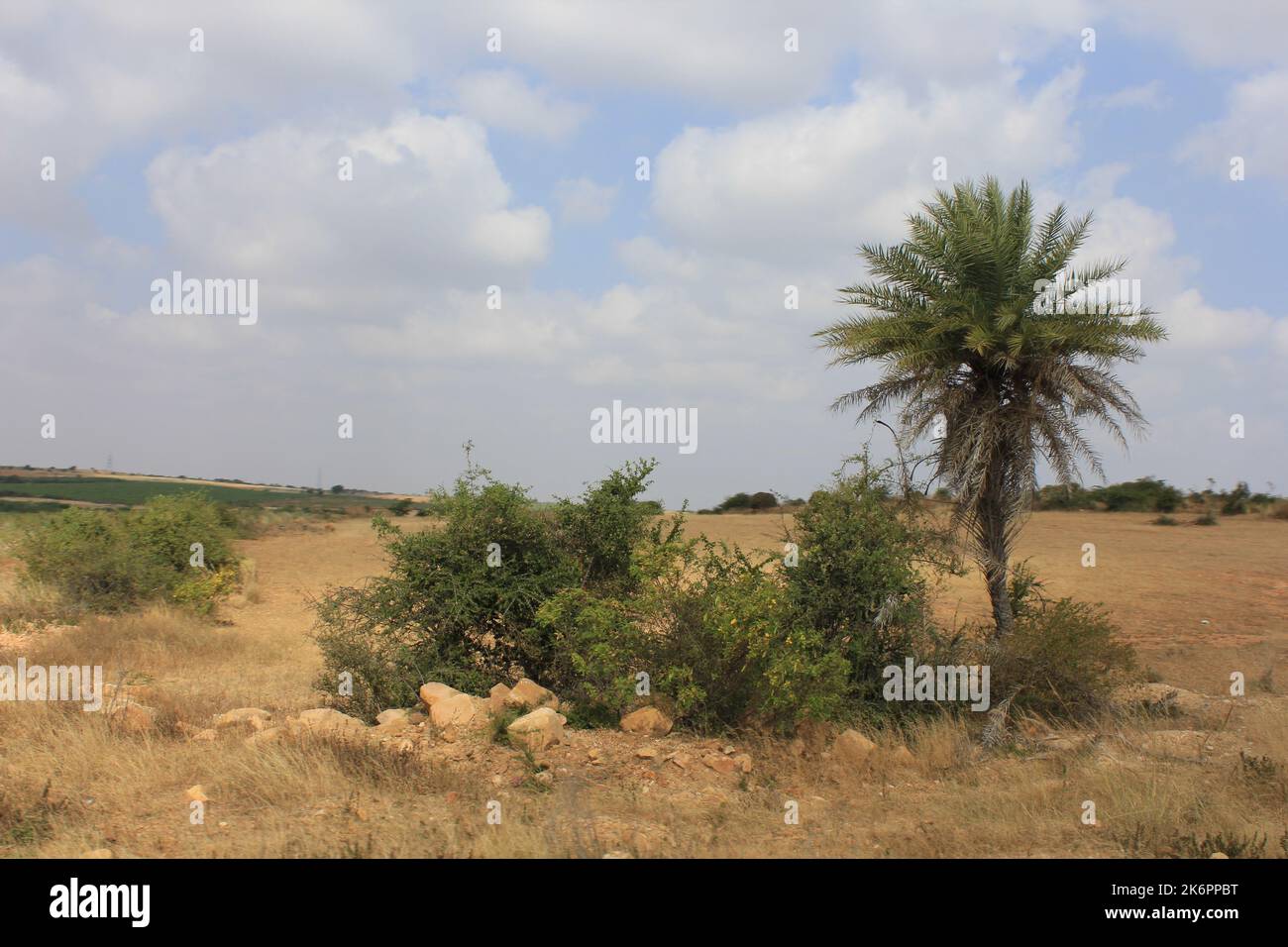 Anantapur hi-res stock photography and images - Alamy