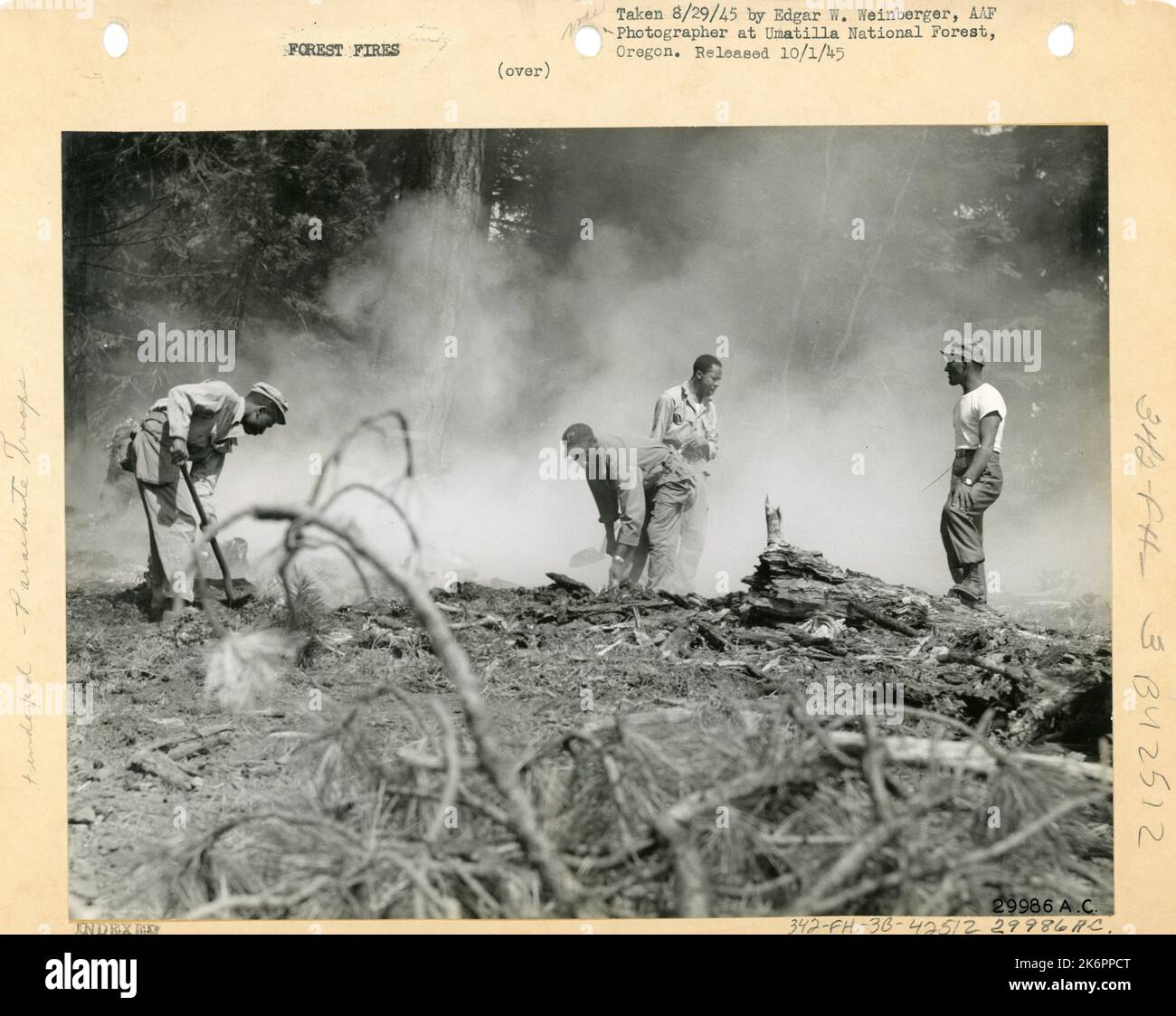 Photograph - Operation Fire Fly. Photograph - Operation Fire Fly. Negro ...