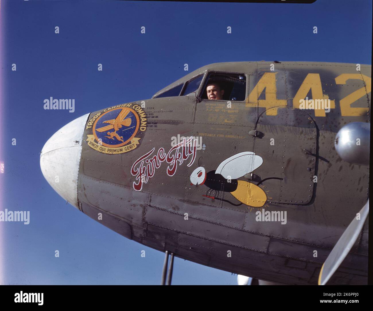 Photograph - Operation Fire Fly. Photograph - Operation Fire Fly. This ...