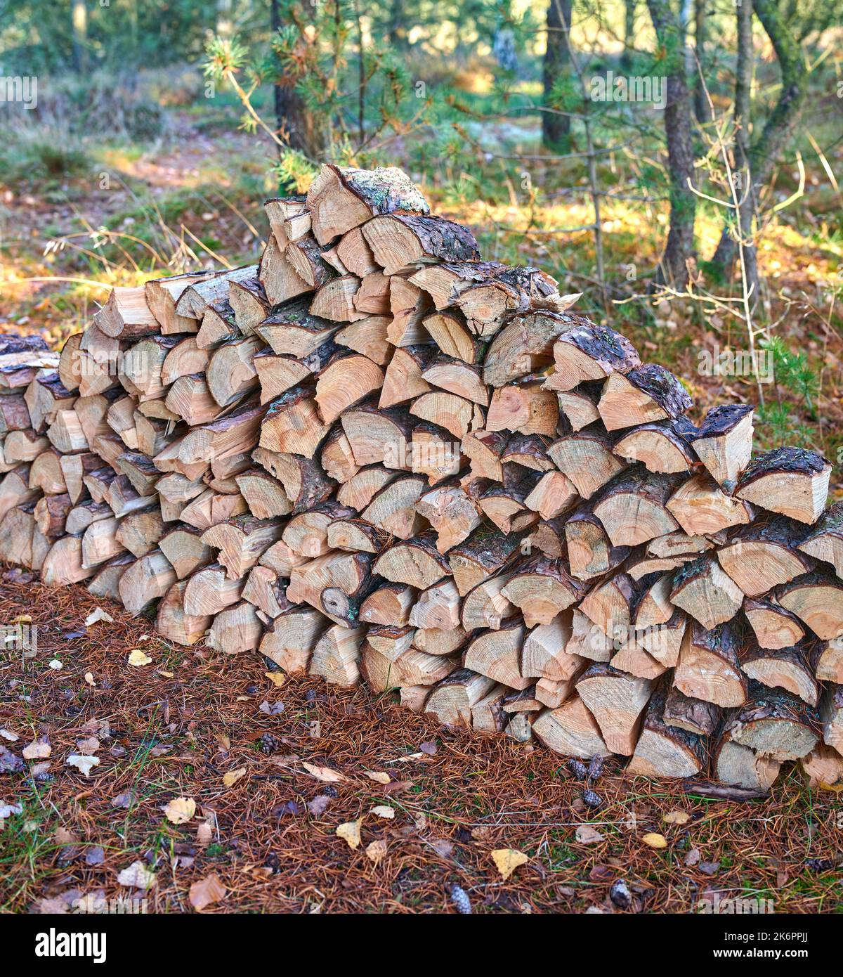 Preparation of firewood for the winter. Stacks of firewood in the ...