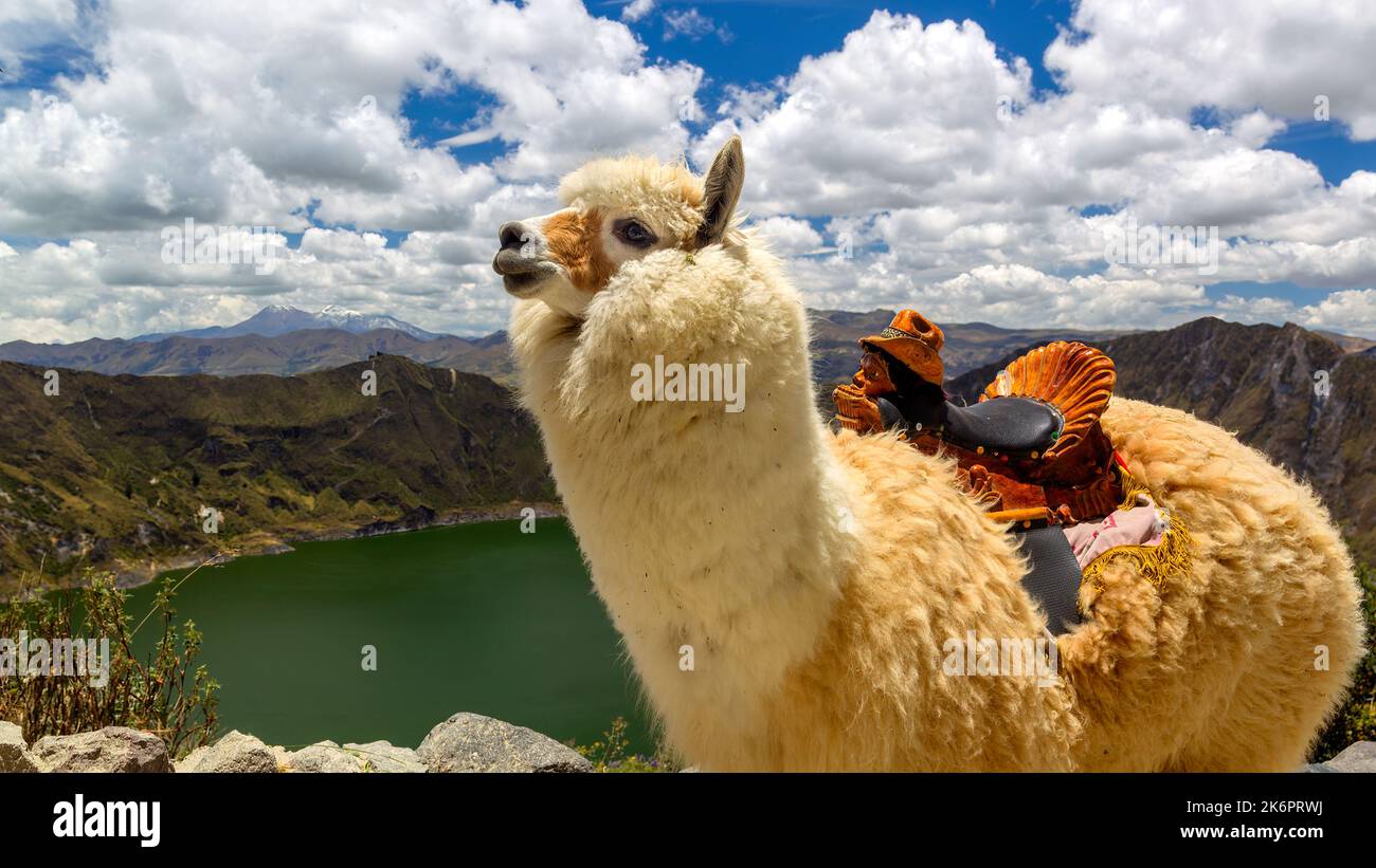 Quilotoa quito hi-res stock photography and images - Alamy