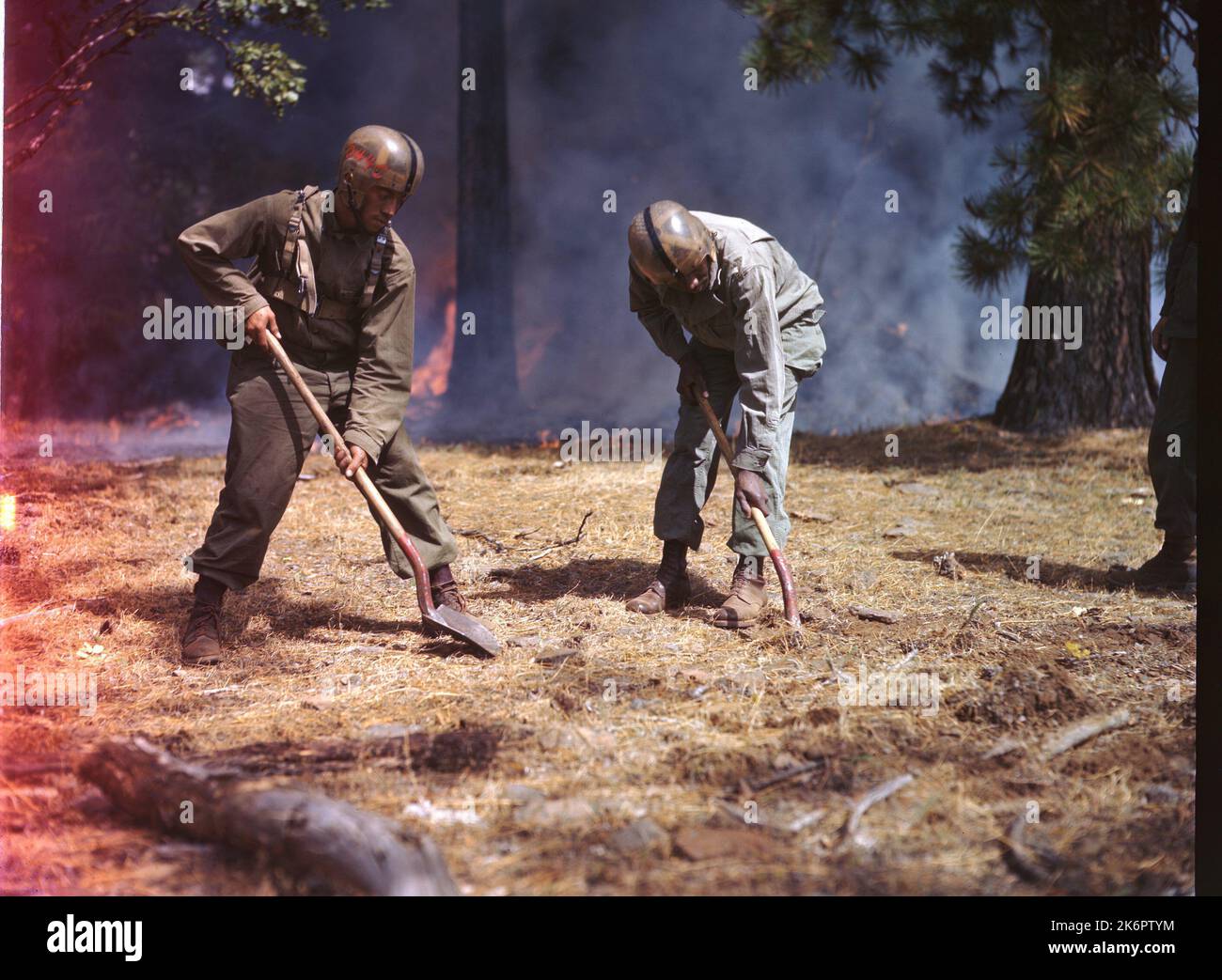 Photograph - Operation Fire Fly. Photograph - Operation Fire Fly ...