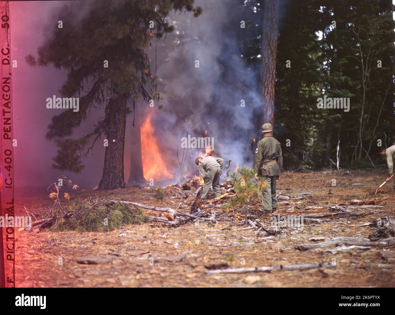 Photograph - Operation Fire Fly. Photograph - Operation Fire Fly ...