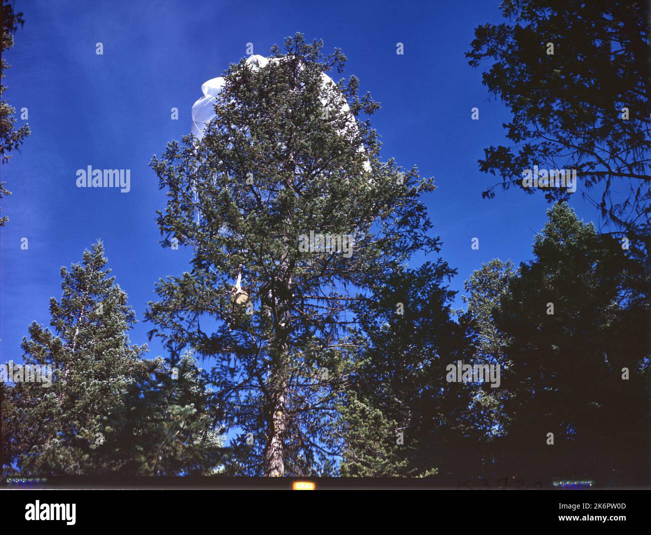 Photograph - Operation Fire Fly. Photograph - Operation Fire Fly ...