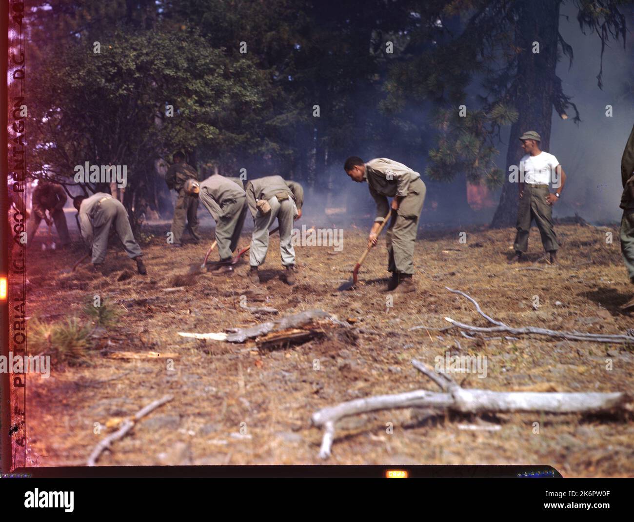 Photograph - Operation Fire Fly. Photograph - Operation Fire Fly ...