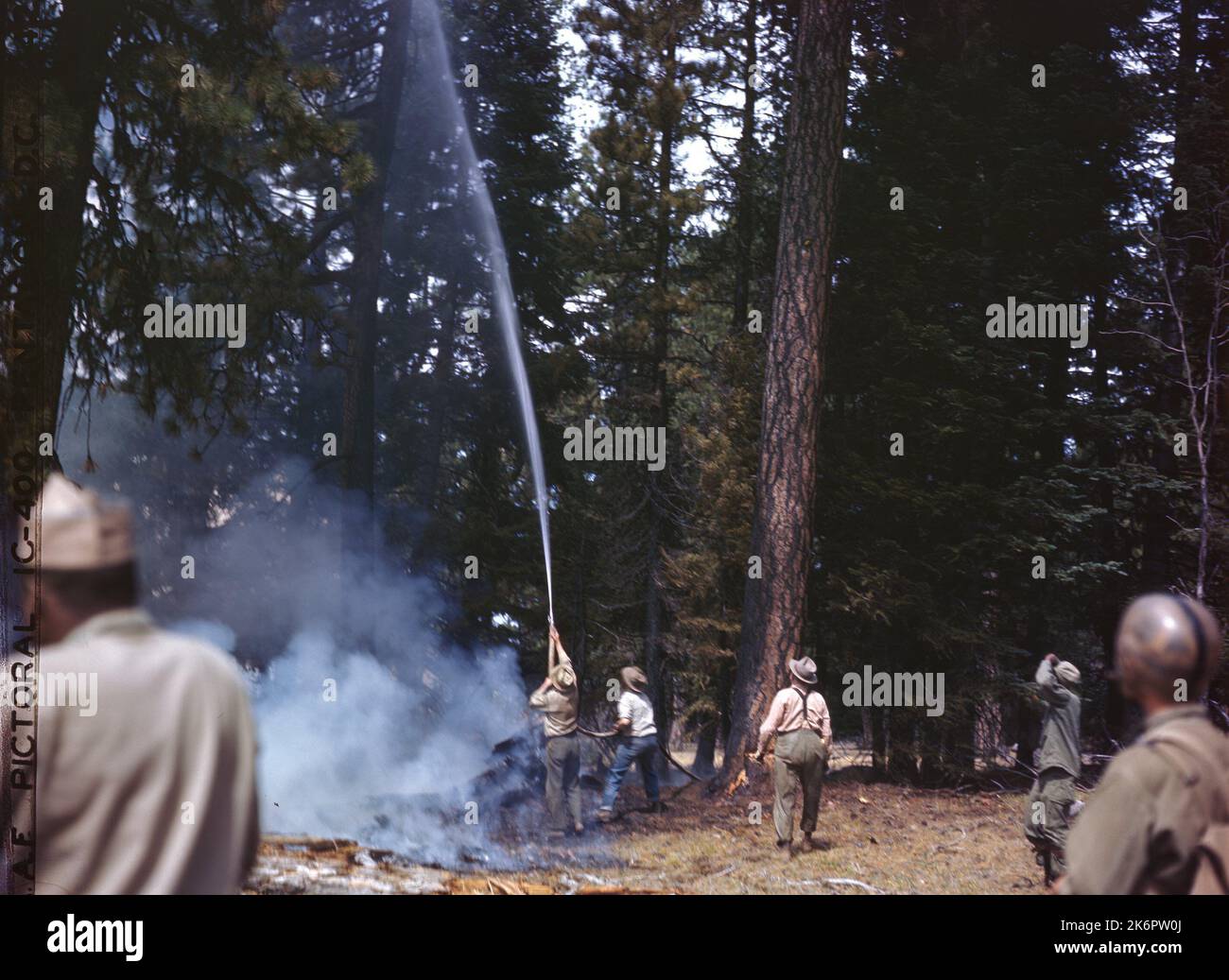 Photograph - Operation Fire Fly. Photograph - Operation Fire Fly ...