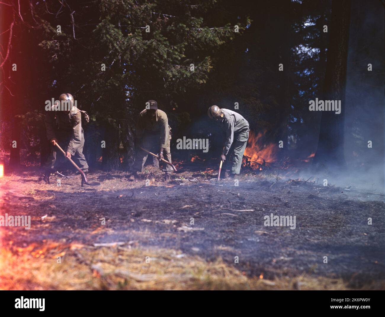 Photograph - Operation Fire Fly. Photograph - Operation Fire Fly ...