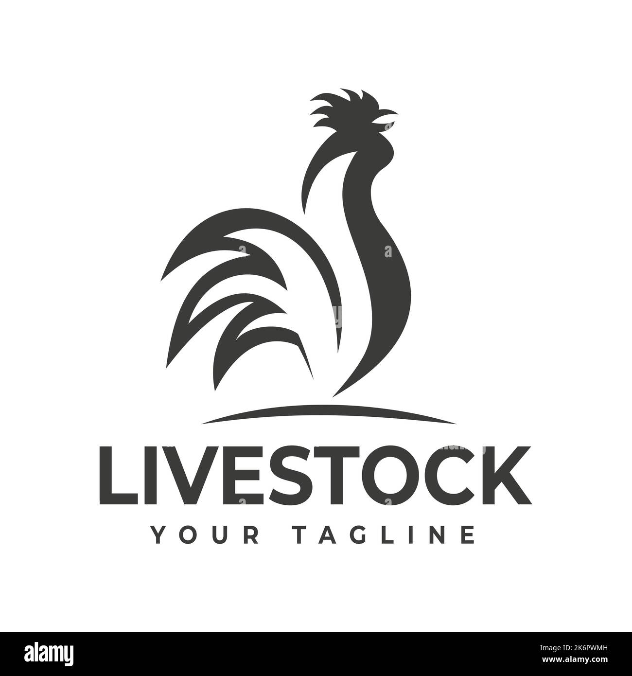 Elegant drawing art illustration of a rooster crowing isolated in retro ...