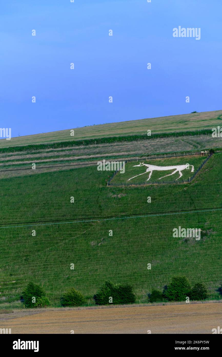 Alton Barnes White Horse is a chalk hill figure of a white horse ...