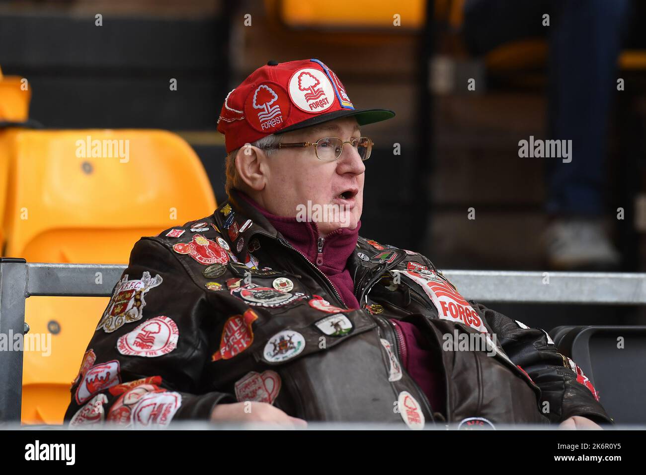 Nottingham Forest supporter during the Premier League match ...