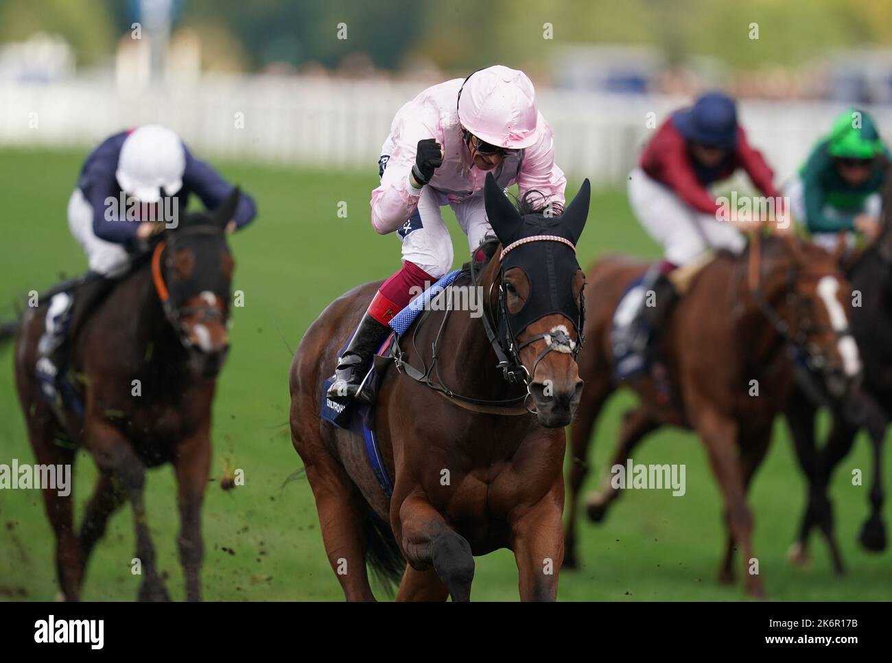 Emily upjohn ascot hi-res stock photography and images - Alamy