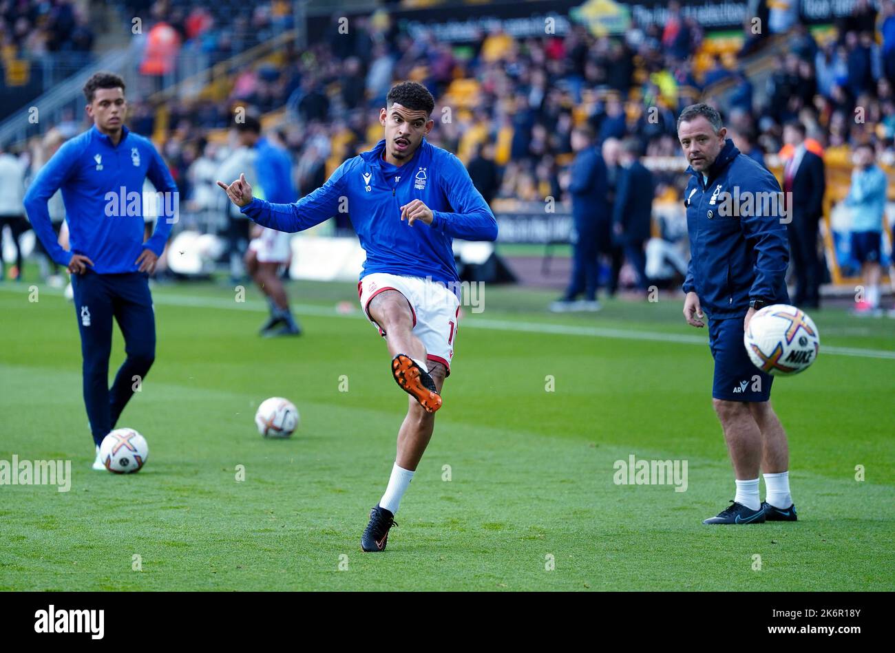 Gibbs white 2022 wolves hi-res stock photography and images - Alamy