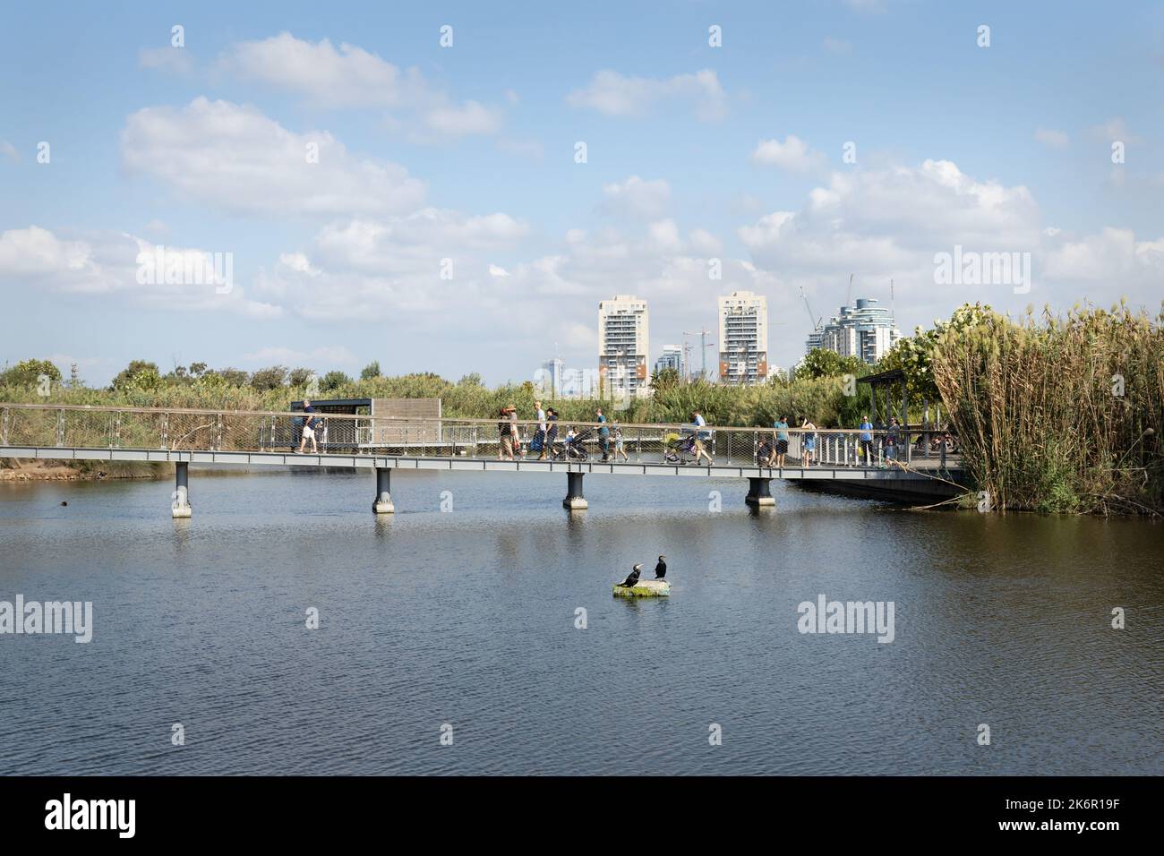 people and water birds at the ecological lake park, Hod HaSharon ...