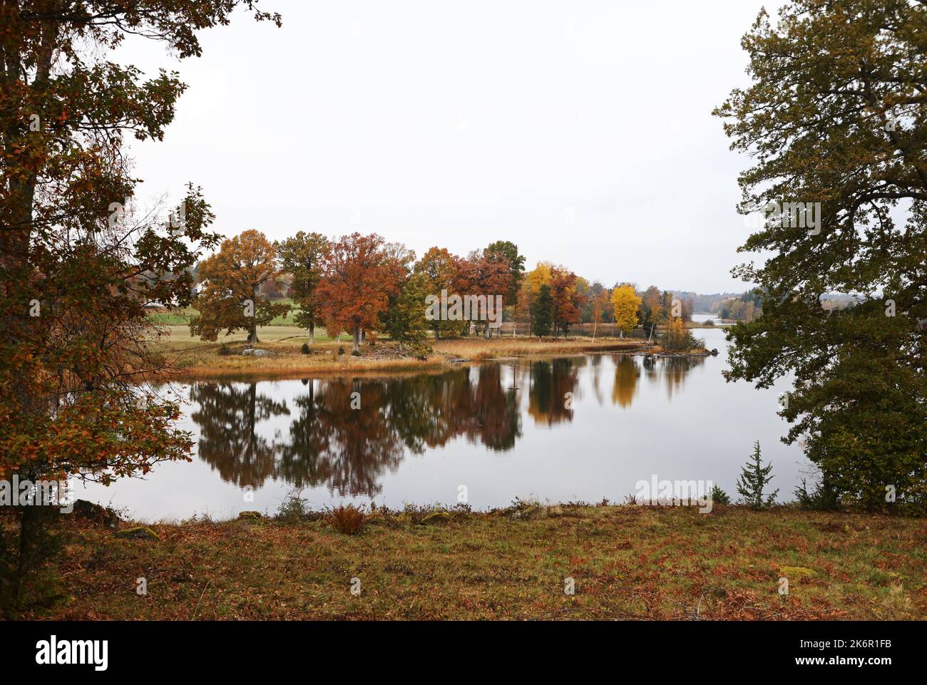 Seasonal weather, autumn colors in Östergötland county, Sweden. In the ...